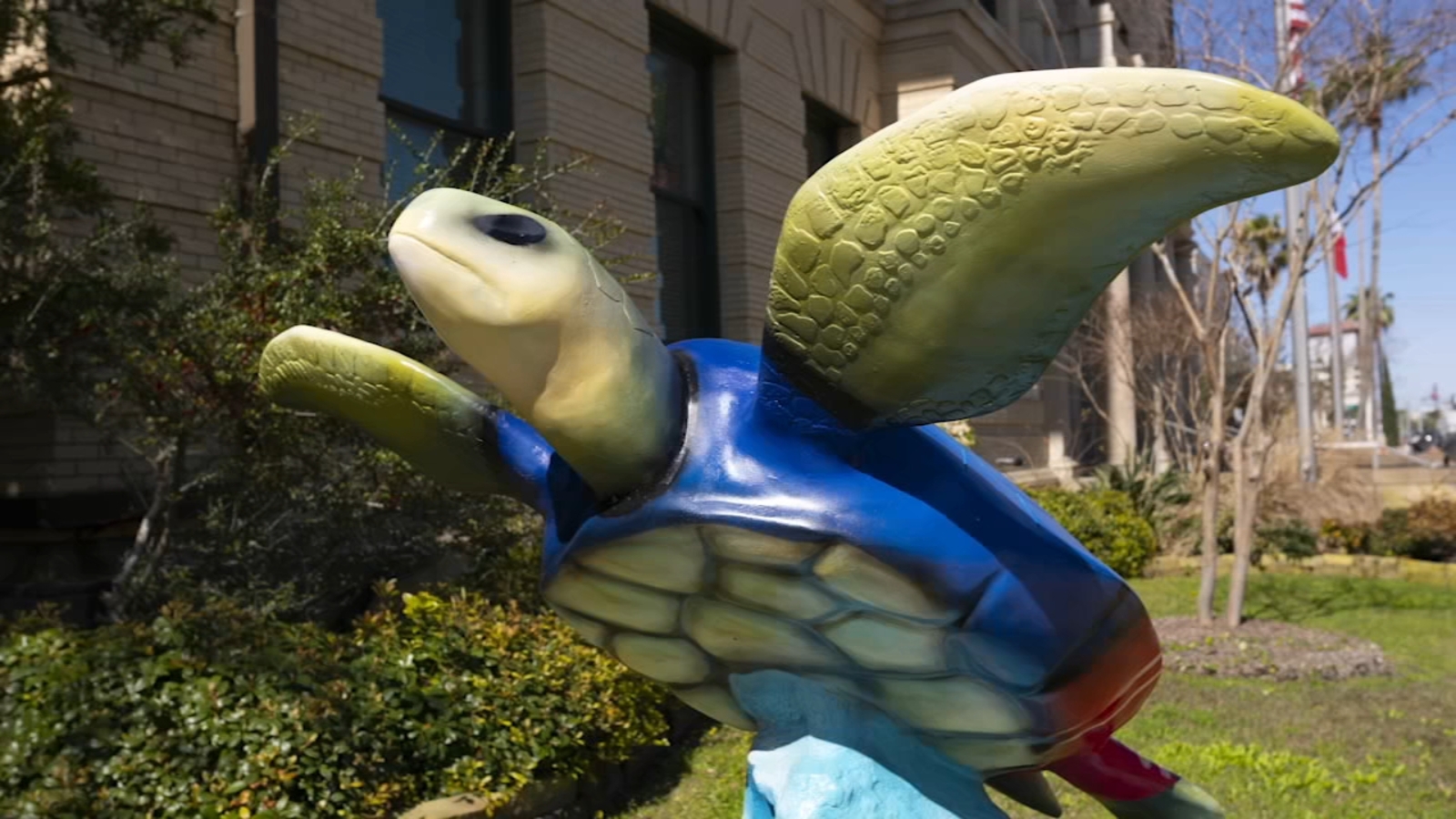 Turtles About Town: A city-wide art project to protect endangered sea ...