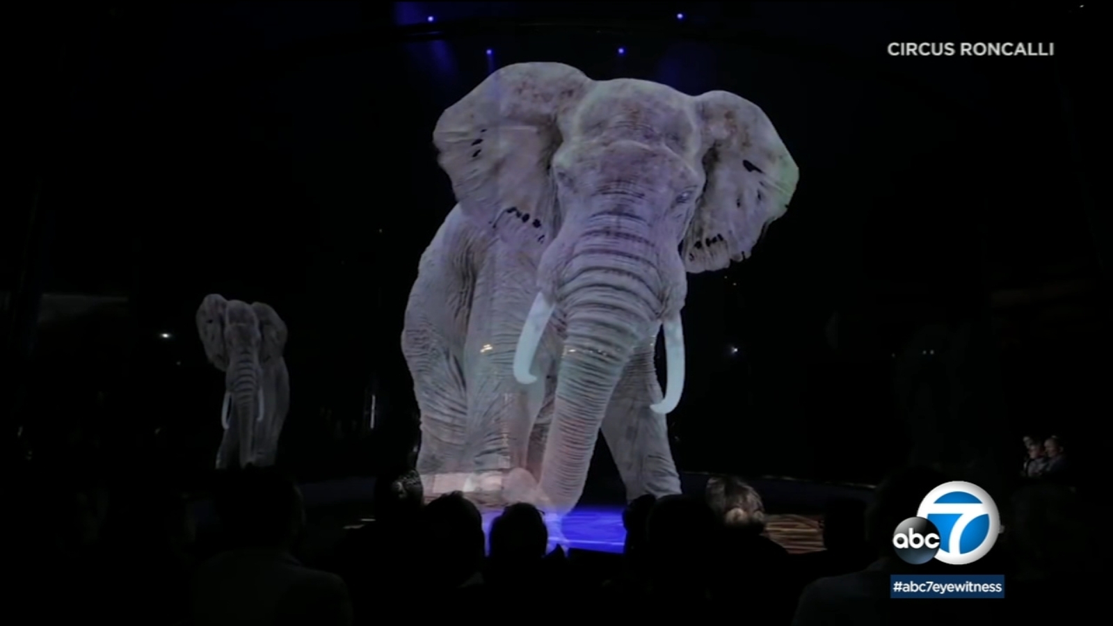 German circus takes cruelty-free approach, uses stunning holograms ...