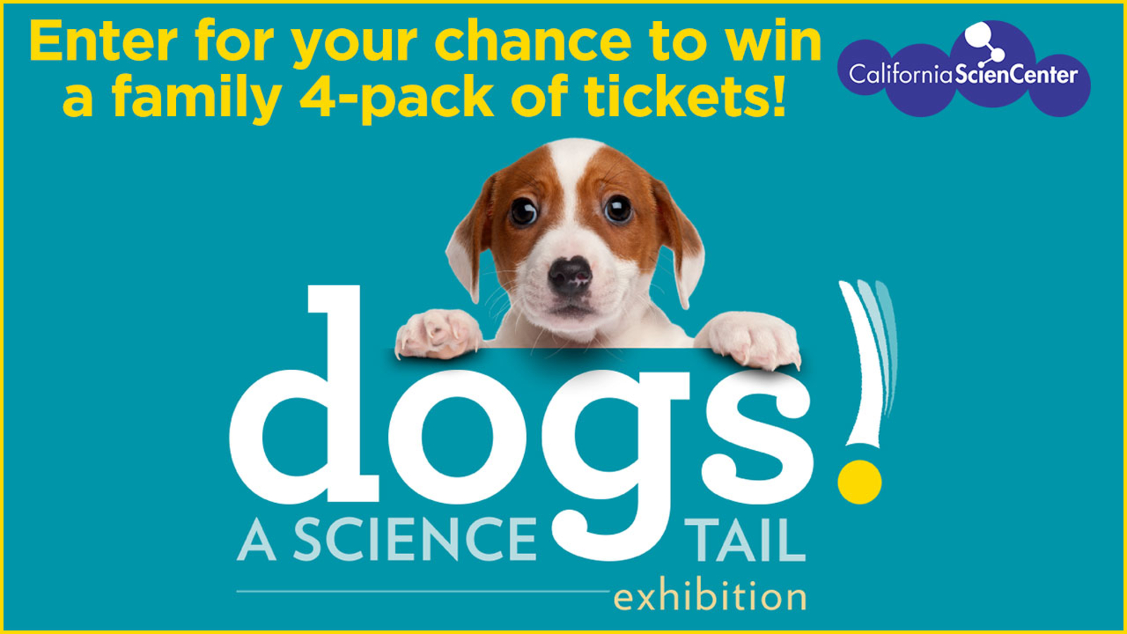 Enter for chance to win ticket to visit Dogs! A Science Tail - a new ...
