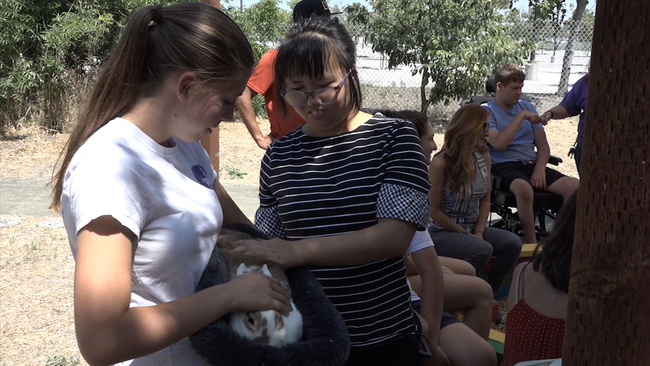 'Stranger Things': Sunnyvale Mayor Larry Klein talks about his Hawkins ...