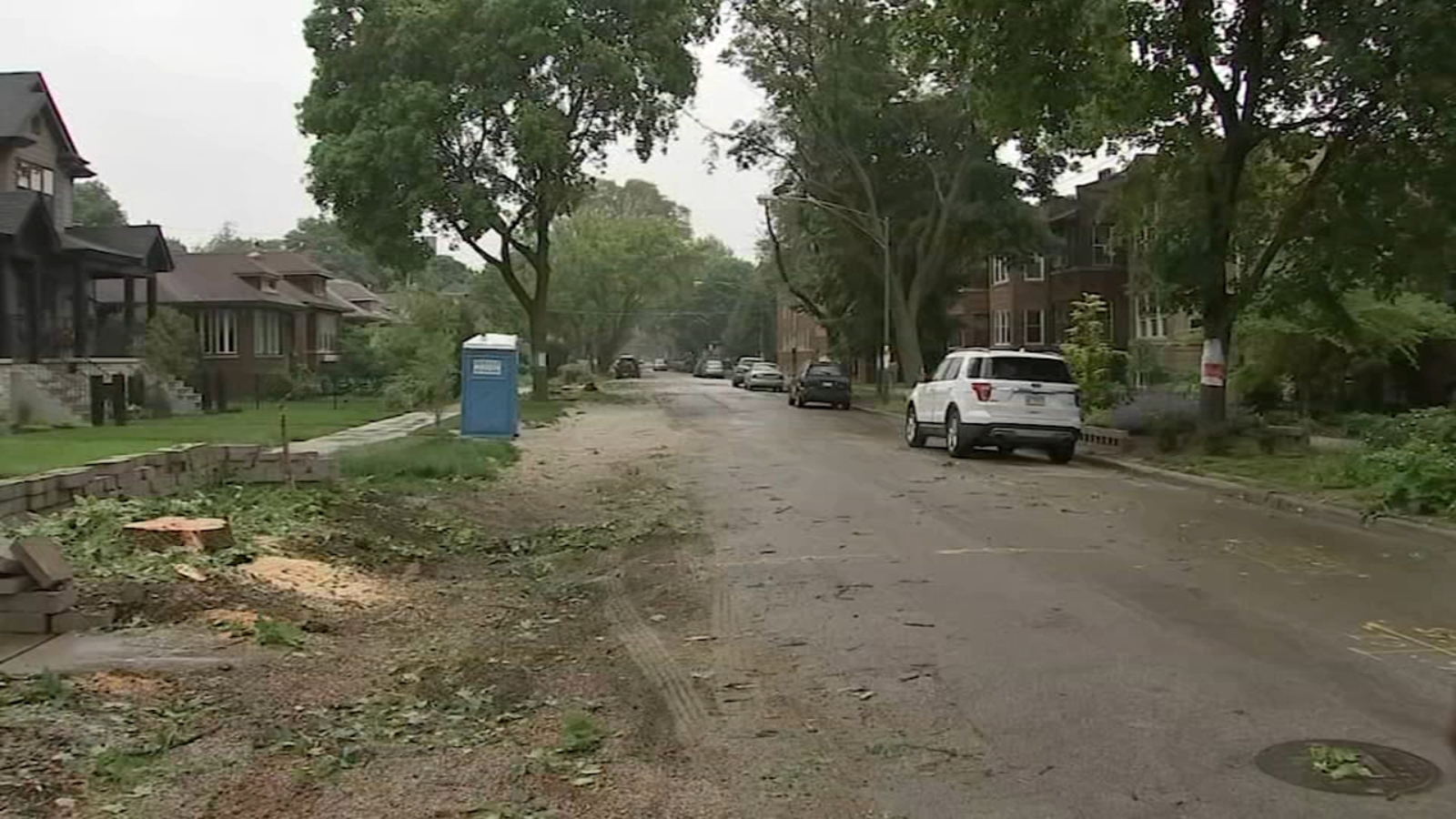 Edgewater neighbors upset over block of trees chopped down for water ...