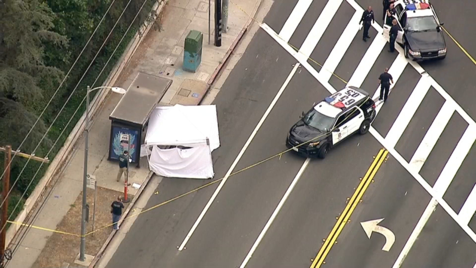 Shooting At Harbor City Bus Stop Leaves Man Dead Pch Closed At Scene