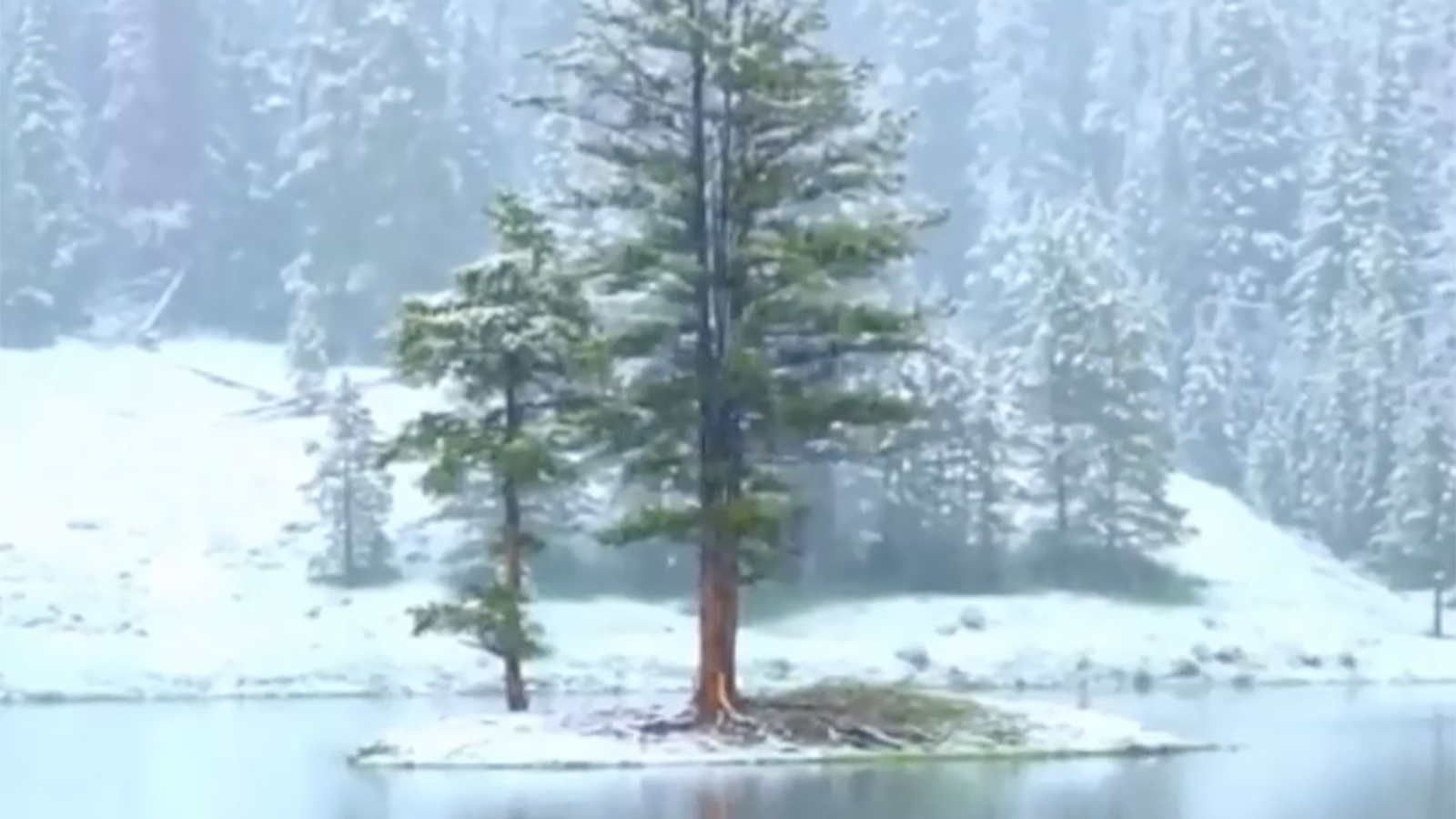 Colorado snow: State's mountains welcome summer with up to 2 feet of ...