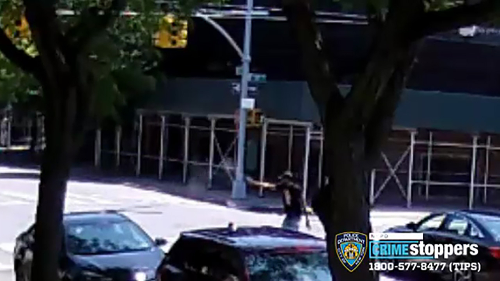 Man shot in head during caught-on-camera road rage shooting in ...