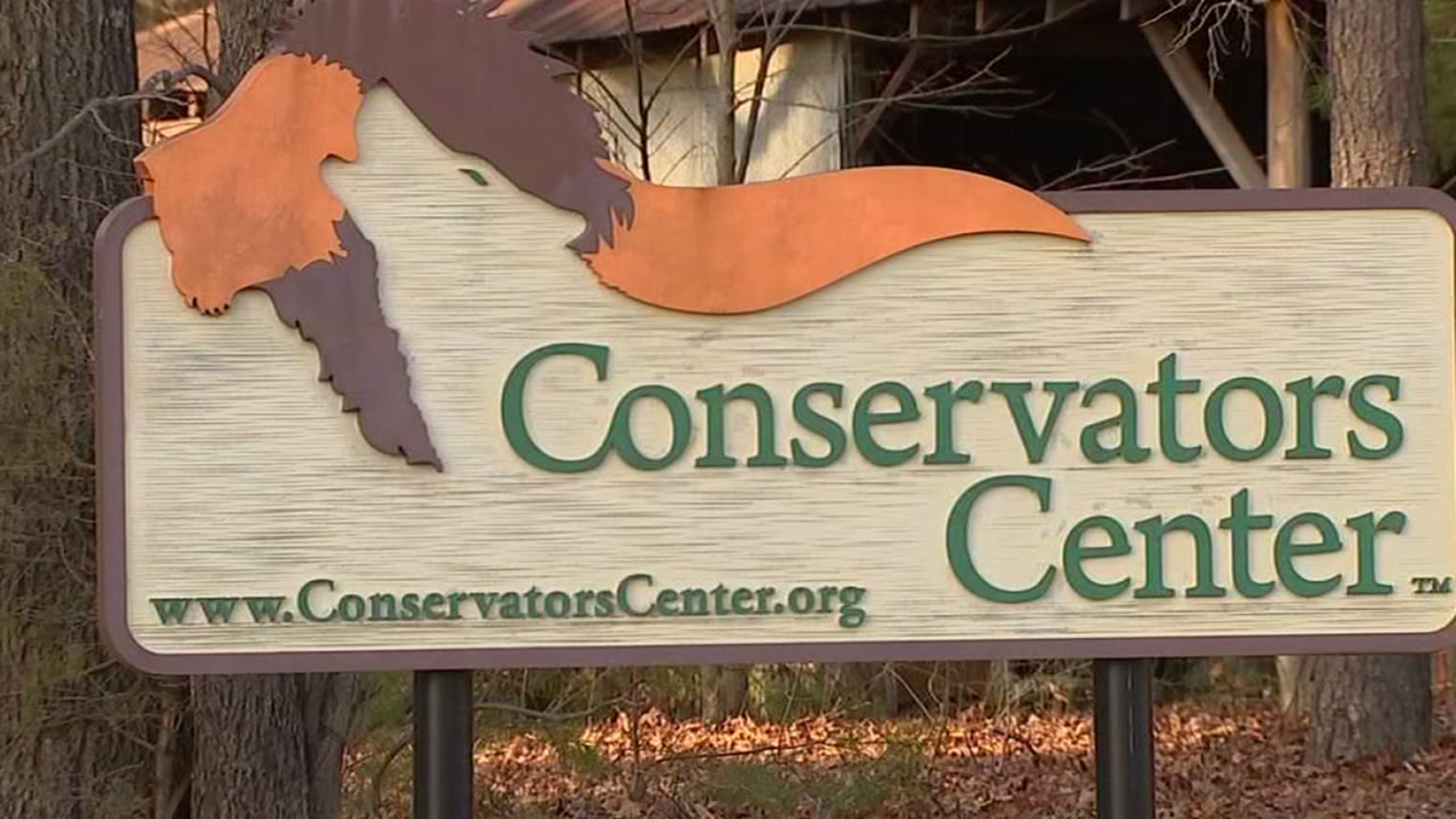 State fines Conservators Center after lion attack that killed intern ...