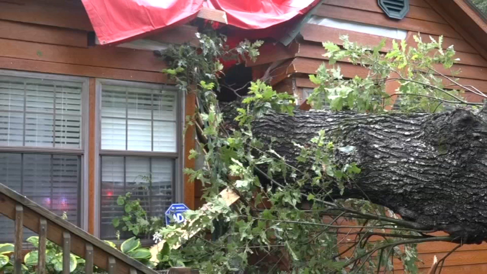 Toddler covered in debris after 70-foot oak tree falls on Porter home ...