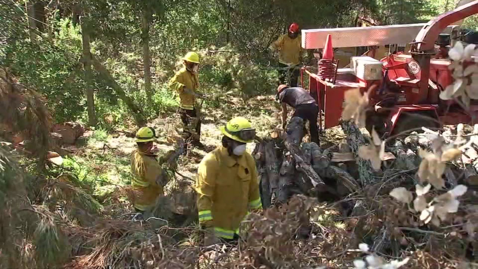 Moraga-Orinda Fire department chipping for residents to prevent fire ...