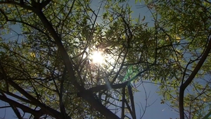 Accuweather - Fresno Weather | abc30.com