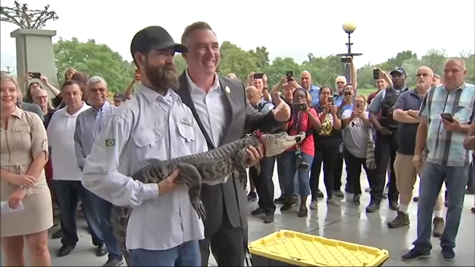 Humboldt Park alligator Chance the Snapper caught after a week, trapper ...