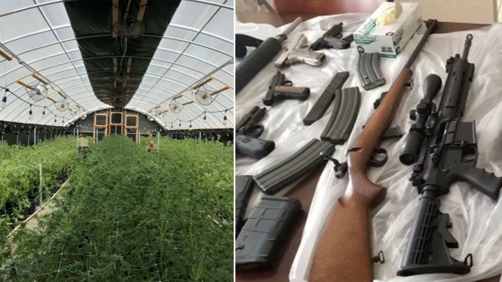 47 tons of marijuana disposed after major pot busts in Perris - ABC7 ...