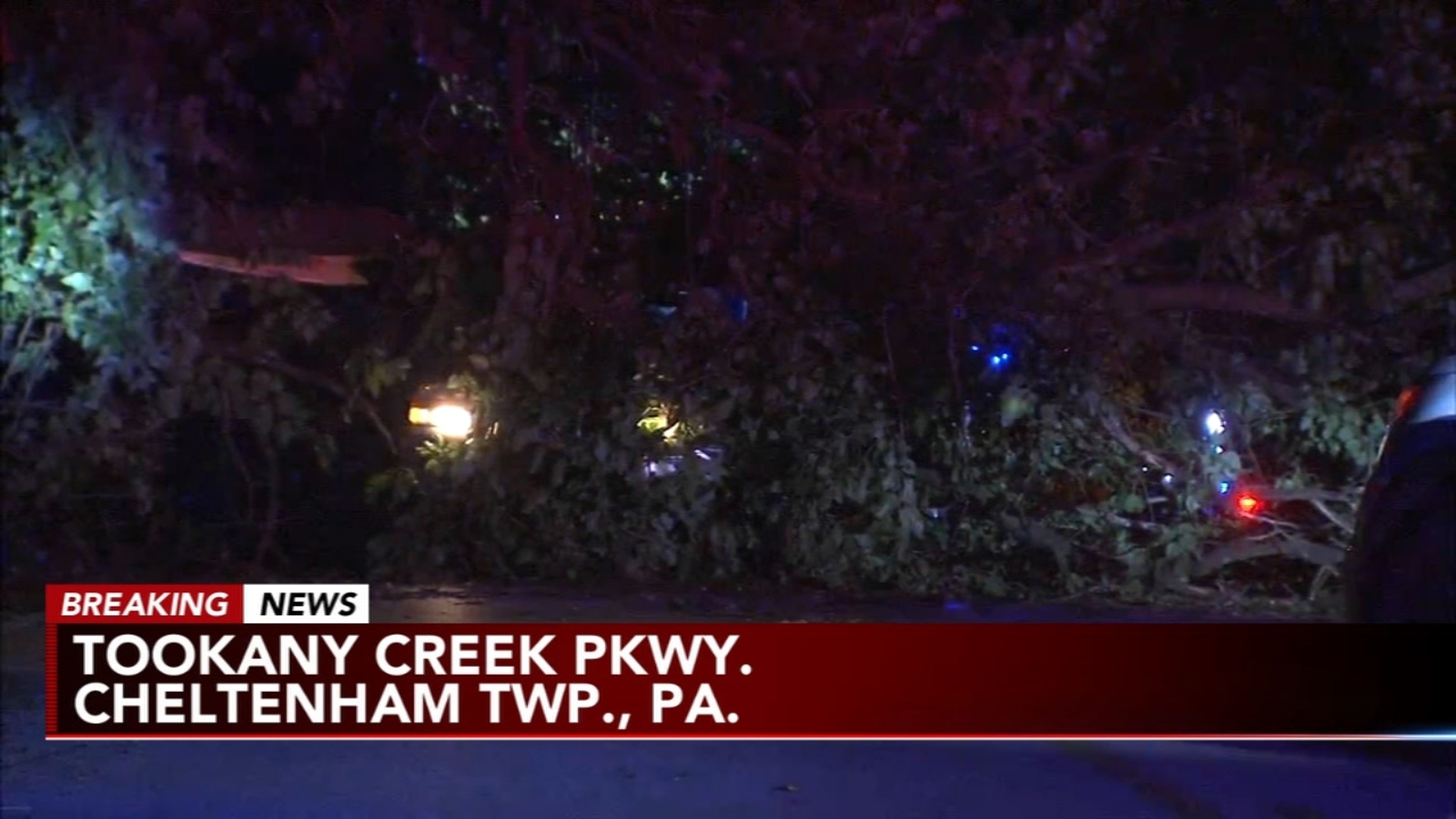 Falling tree damages moving vehicle in Cheltenham Twp., Pennsylvania ...
