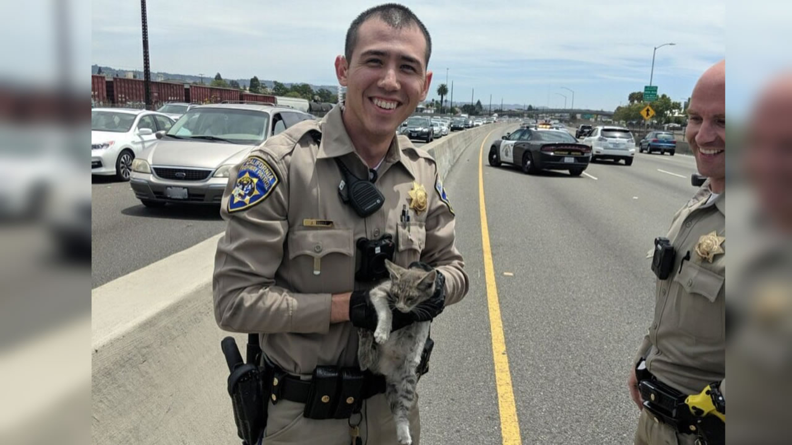 CHP officer rescues kitten during first day on the job in Oakland ...
