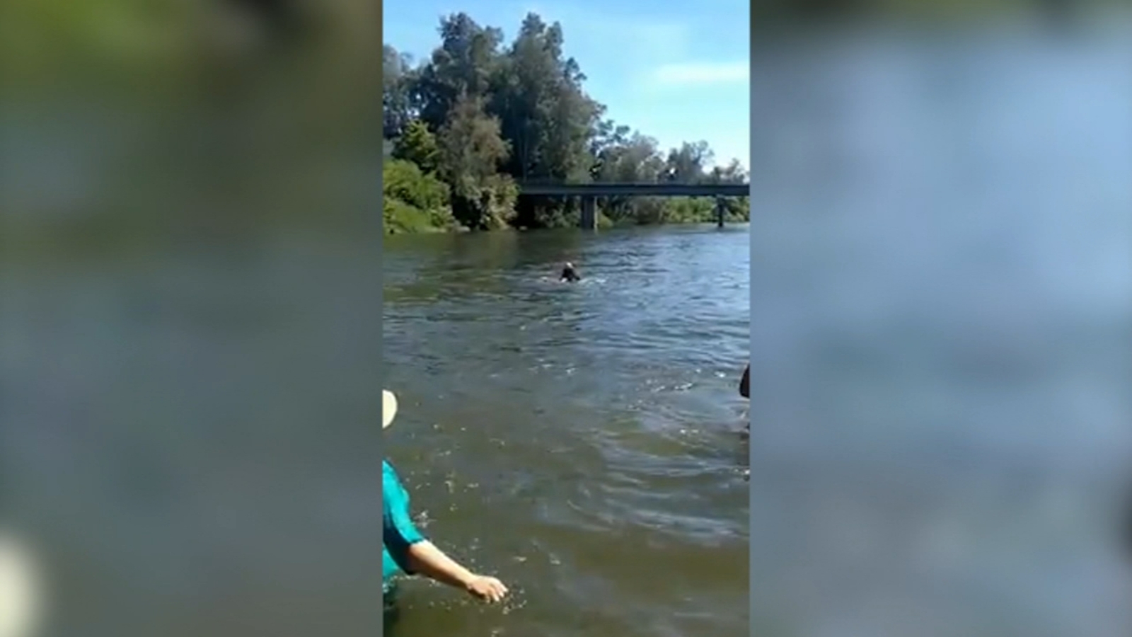 Bystander rescues man, child at Reedley Beach a day after five children ...