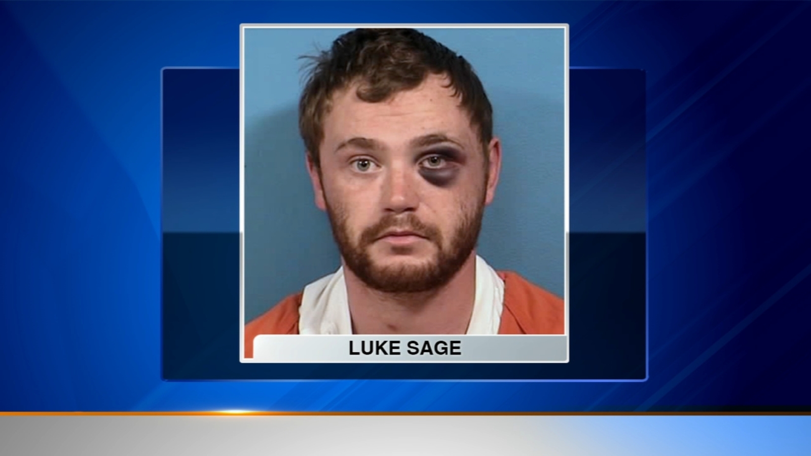 Wheaton man Lucas Sage accused of punching, elbowing 4 police officers ...