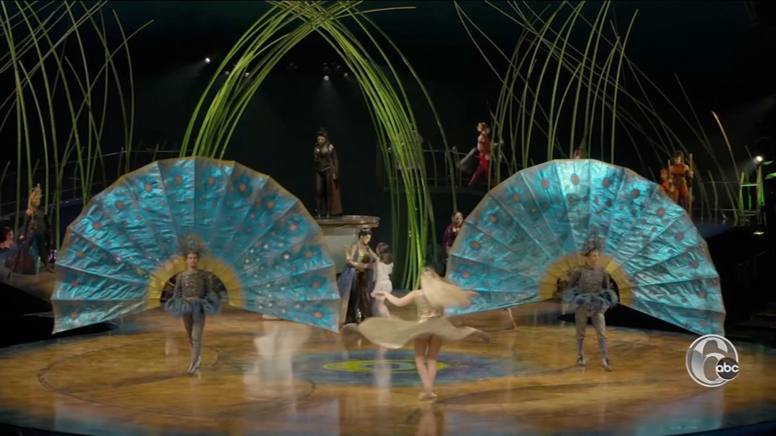 Behind the Scenes at Cirque du Soleil: Amaluna - 6abc Philadelphia