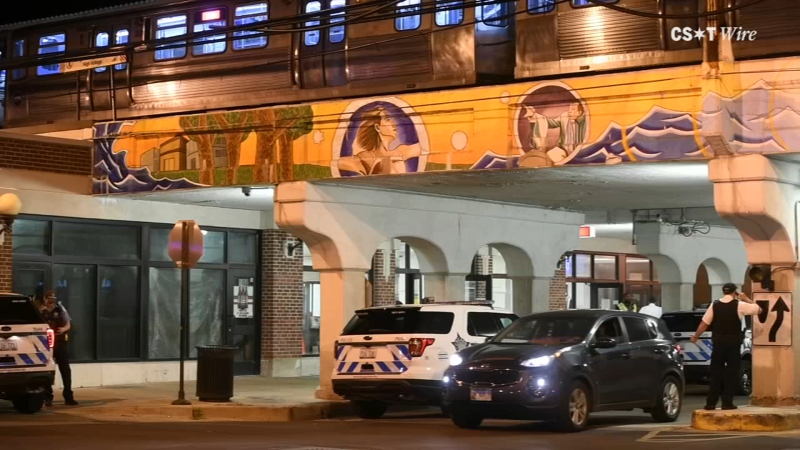 Man boards CTA Red Line train after being stabbed in Rogers Park - ABC7 ...