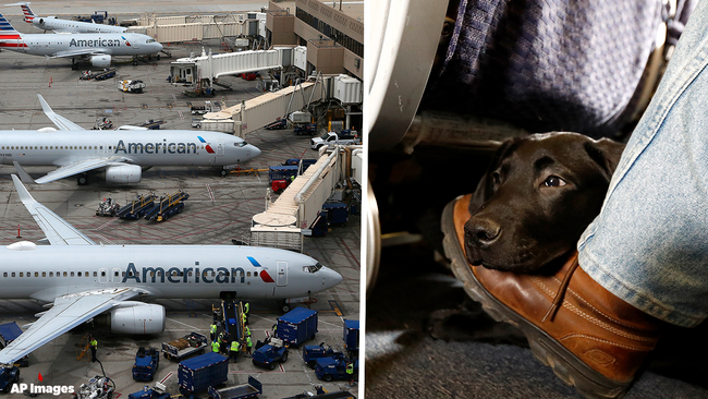 Charly Edsitty | abc13.com