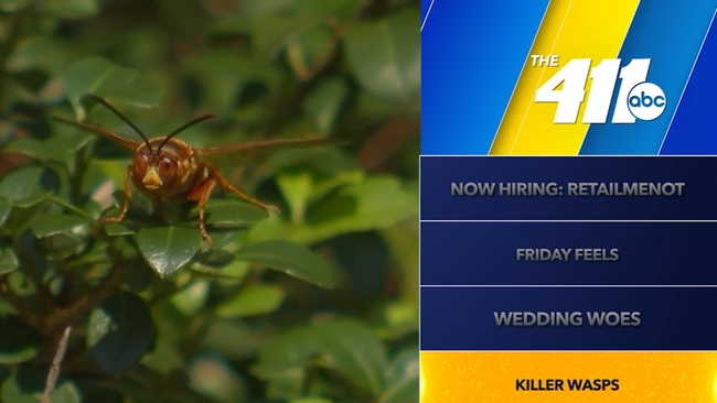 North Carolina DOT looking at all 540 highway project paths | ABC11 ...