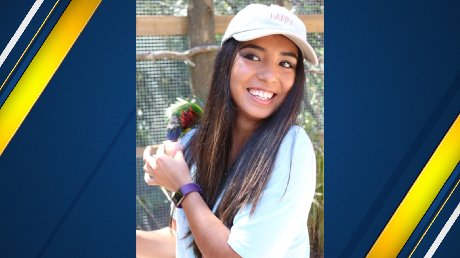 Arkansas woman Maria Ramirez killed in Hwy 41 crash was going to 'hang ...