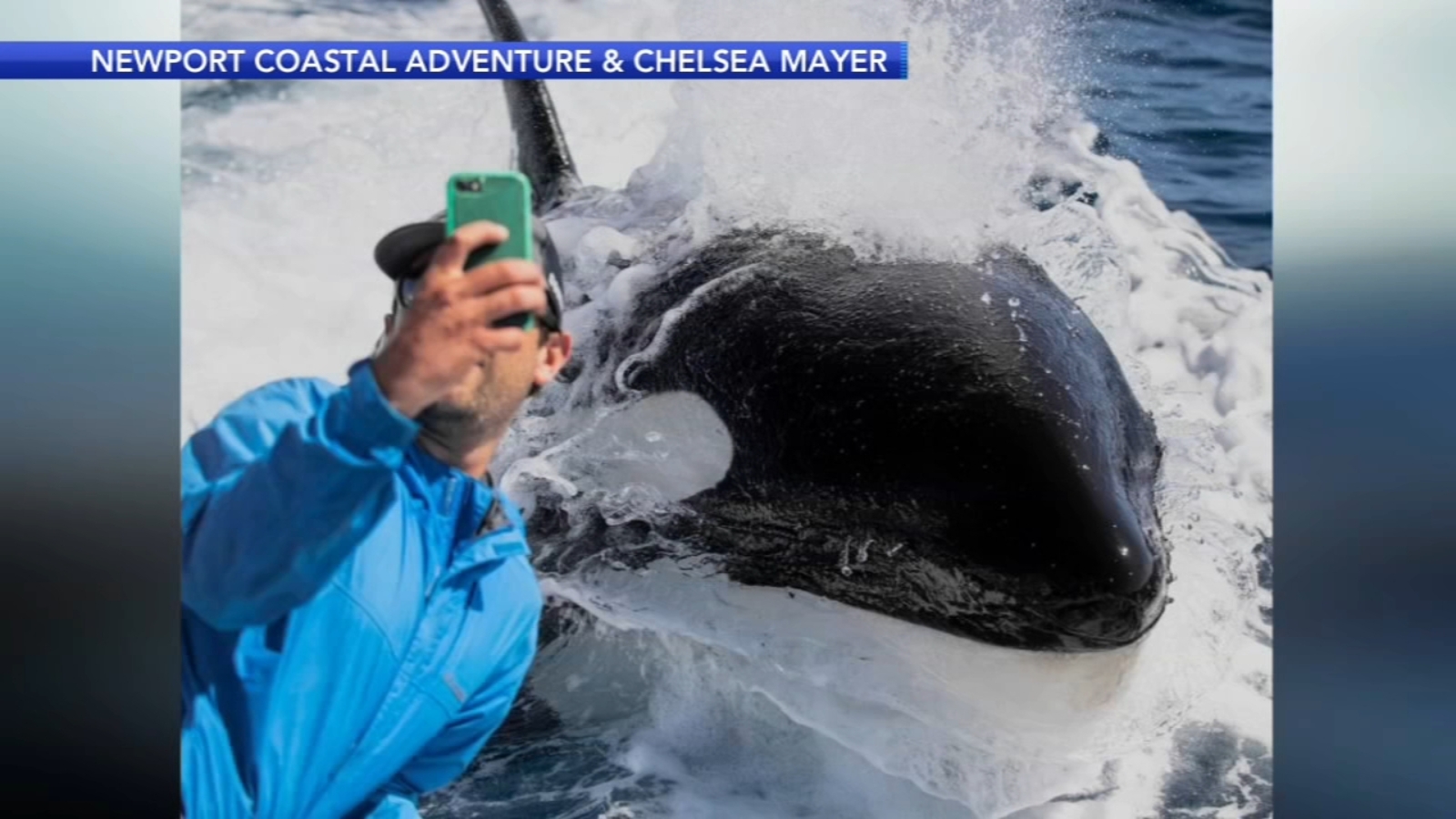 Man snaps perfect selfie with pair of orcas - 6abc Philadelphia