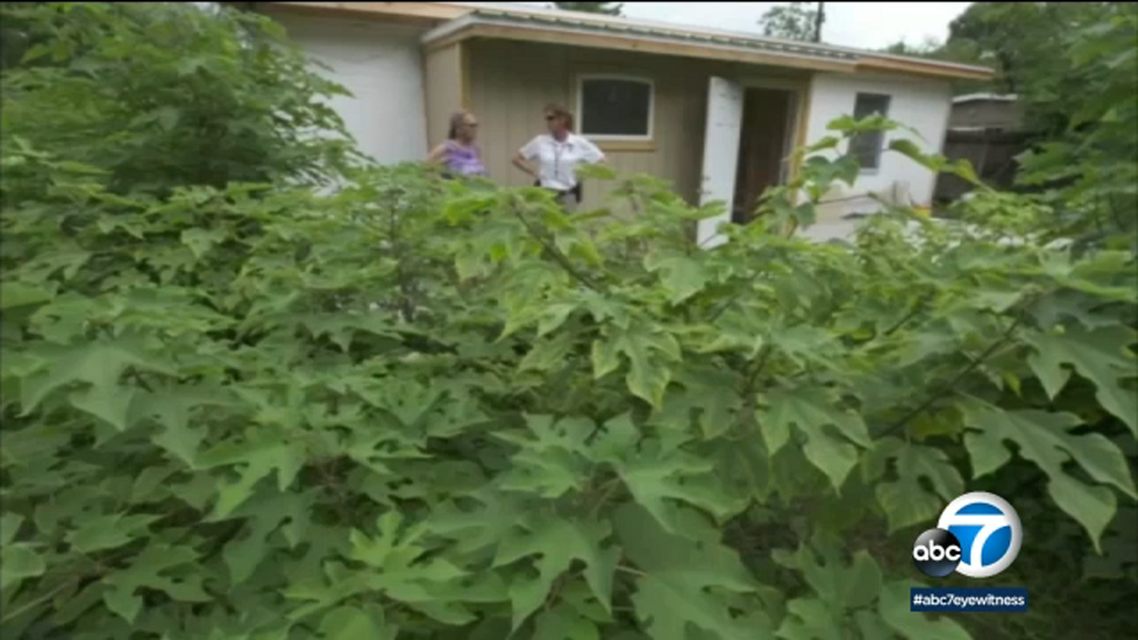 Code enforcement officer helps veterans keep their homes after bringing ...