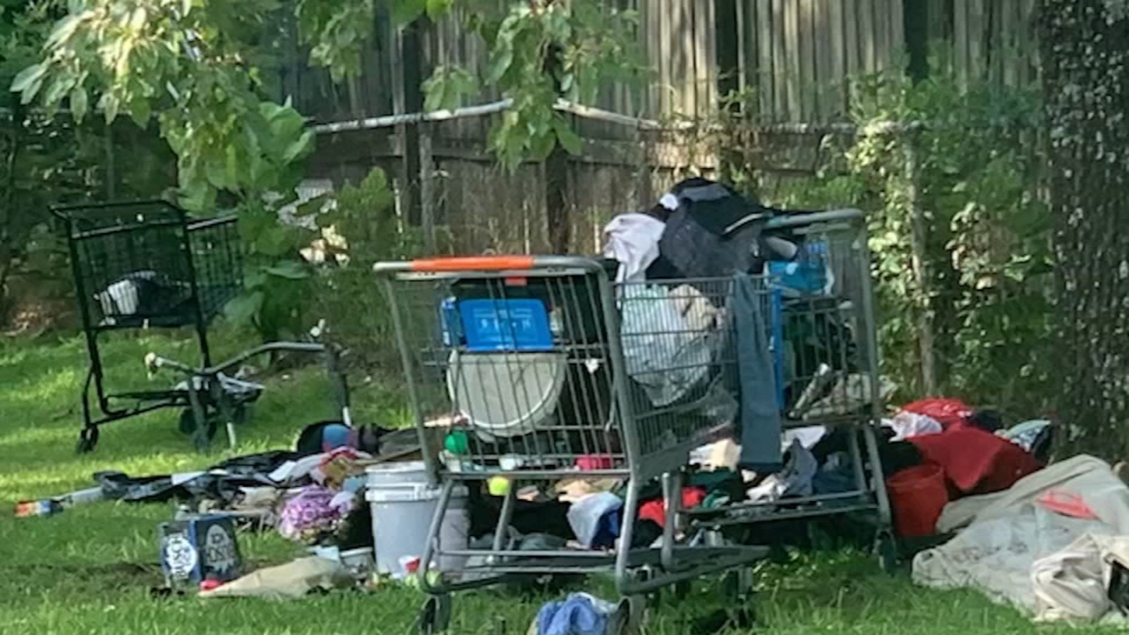 Stray shopping carts create eyesore, inconvenience in Fayetteville ...