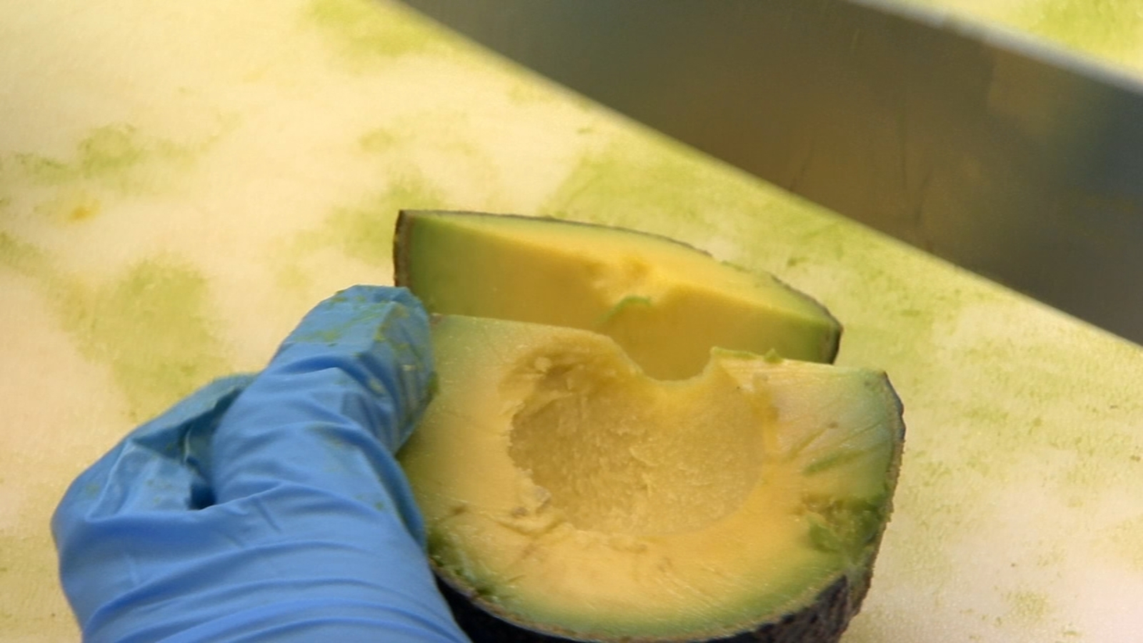 Researchers look at new avocado variety that could be grown in the ...