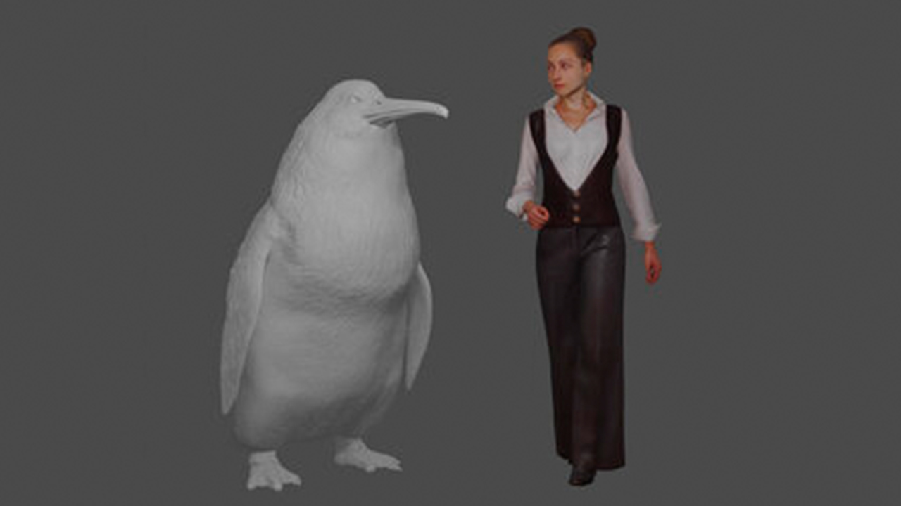 Human-sized penguin fossil discovered in New Zealand - Democratic ...