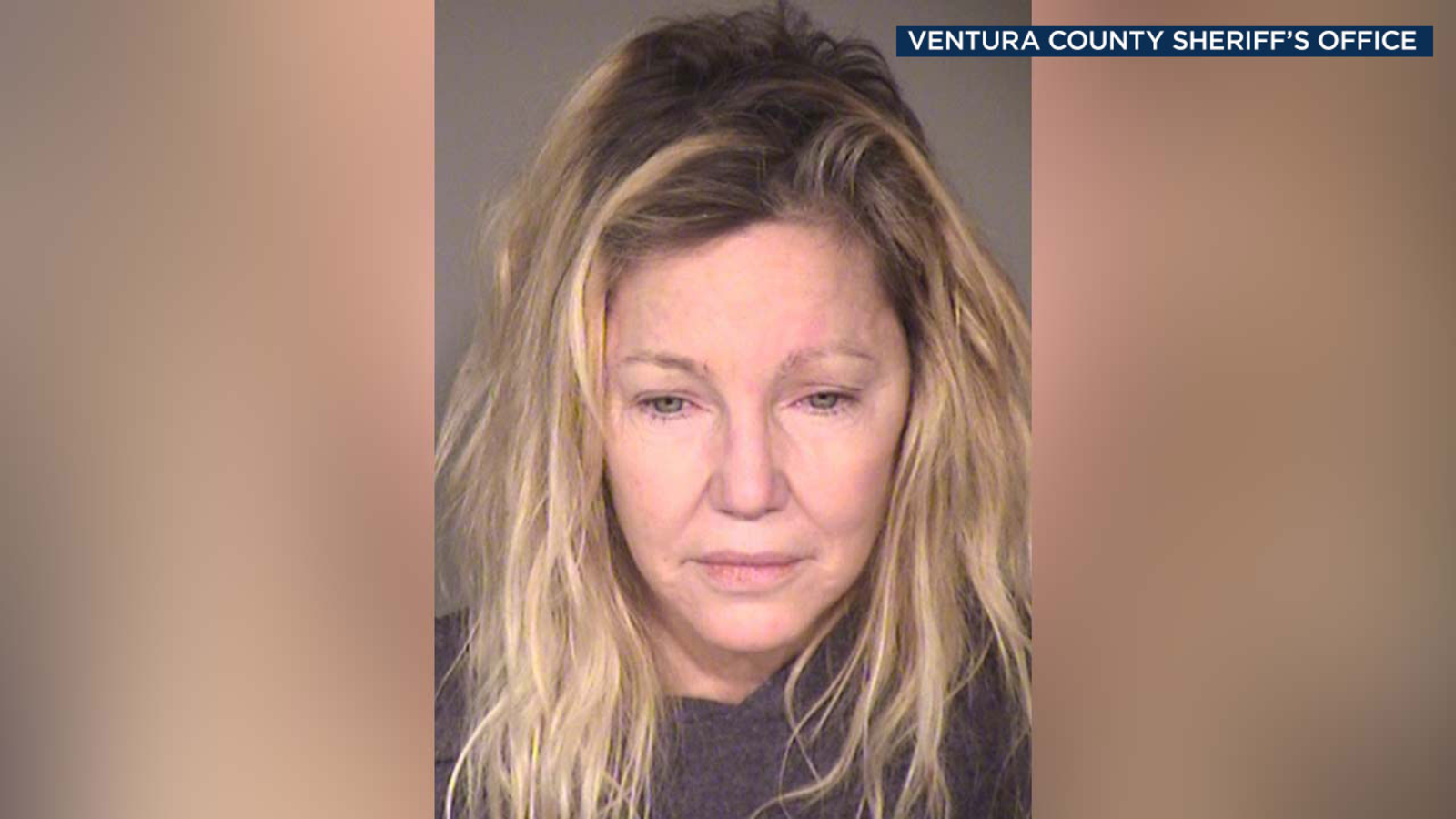 Heather Locklear pleads no contest to 8 misdemeanor counts, including ...