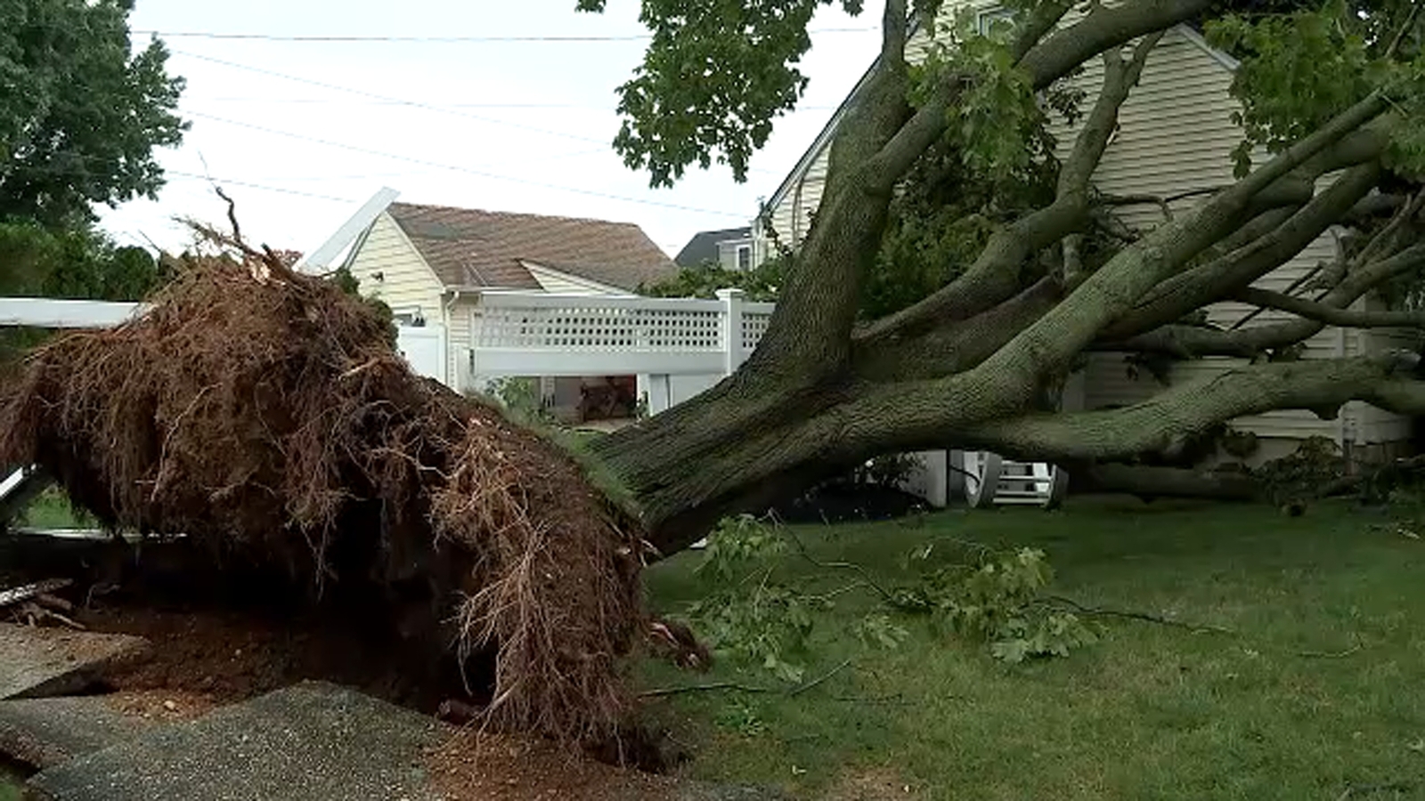 Strong storm causes wall collapse, tears down trees, power lines in ...