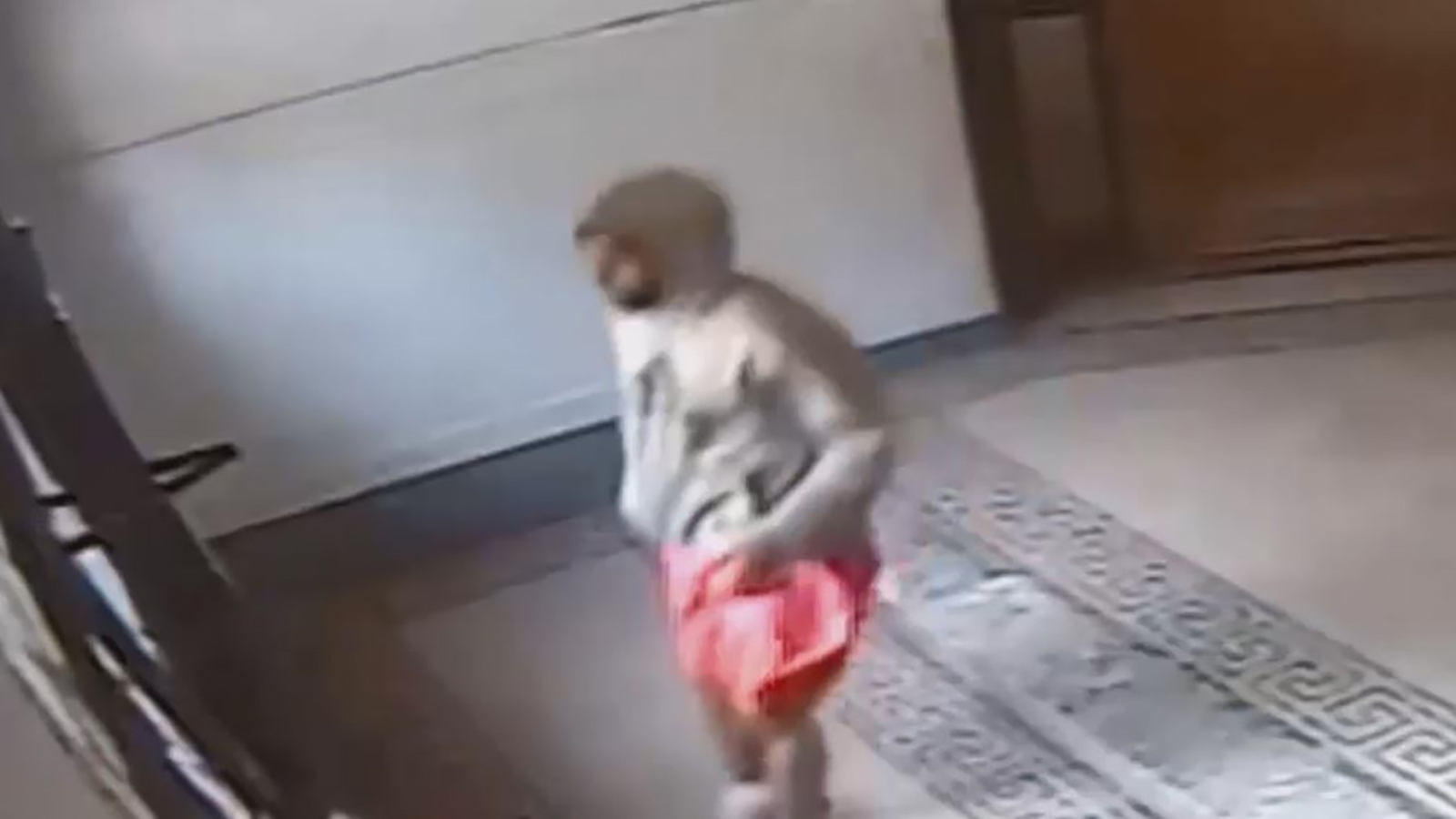 Man robs mom, 7-year-old daughter as they carry groceries in the Bronx ...