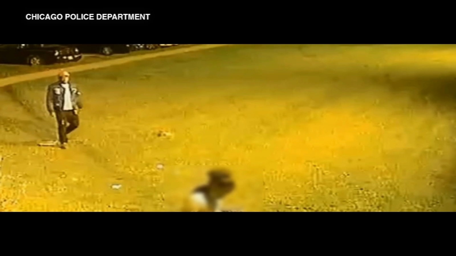 Police Release Video In Search For Man Who Shot Woman 55 On Chicagos