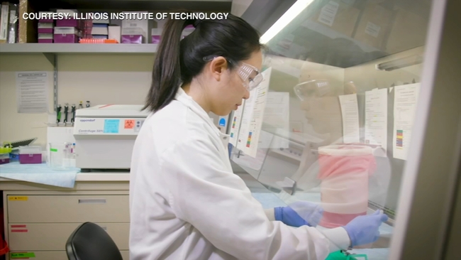 Newsviews: Illinois Institute of Technology, Chicago's only tech ...