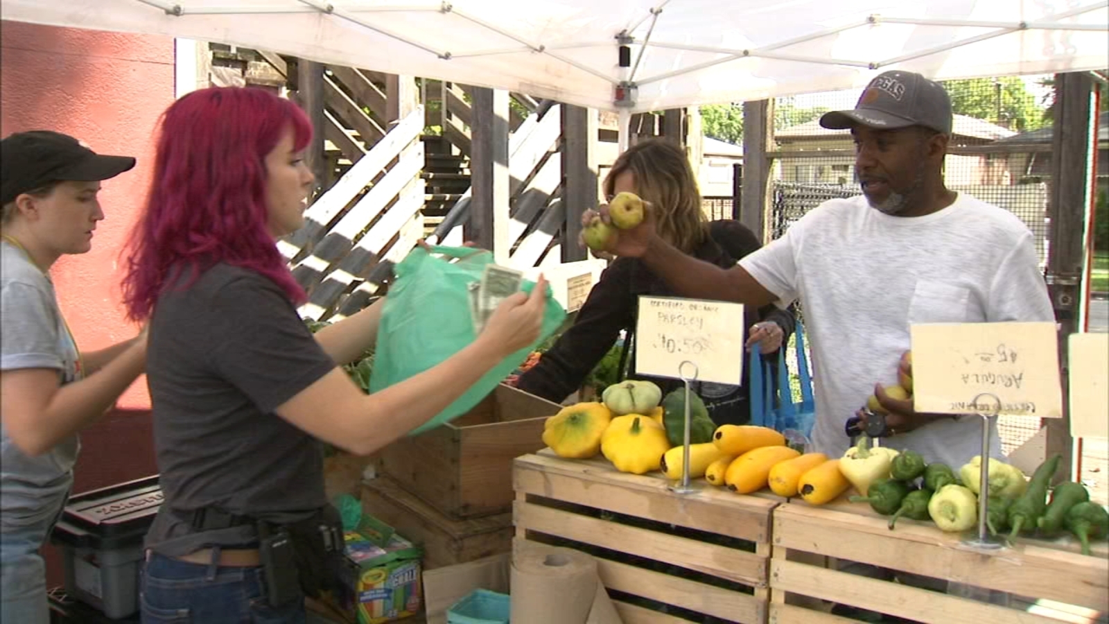 Growing Home organic farm in Englewood provides second chance job ...