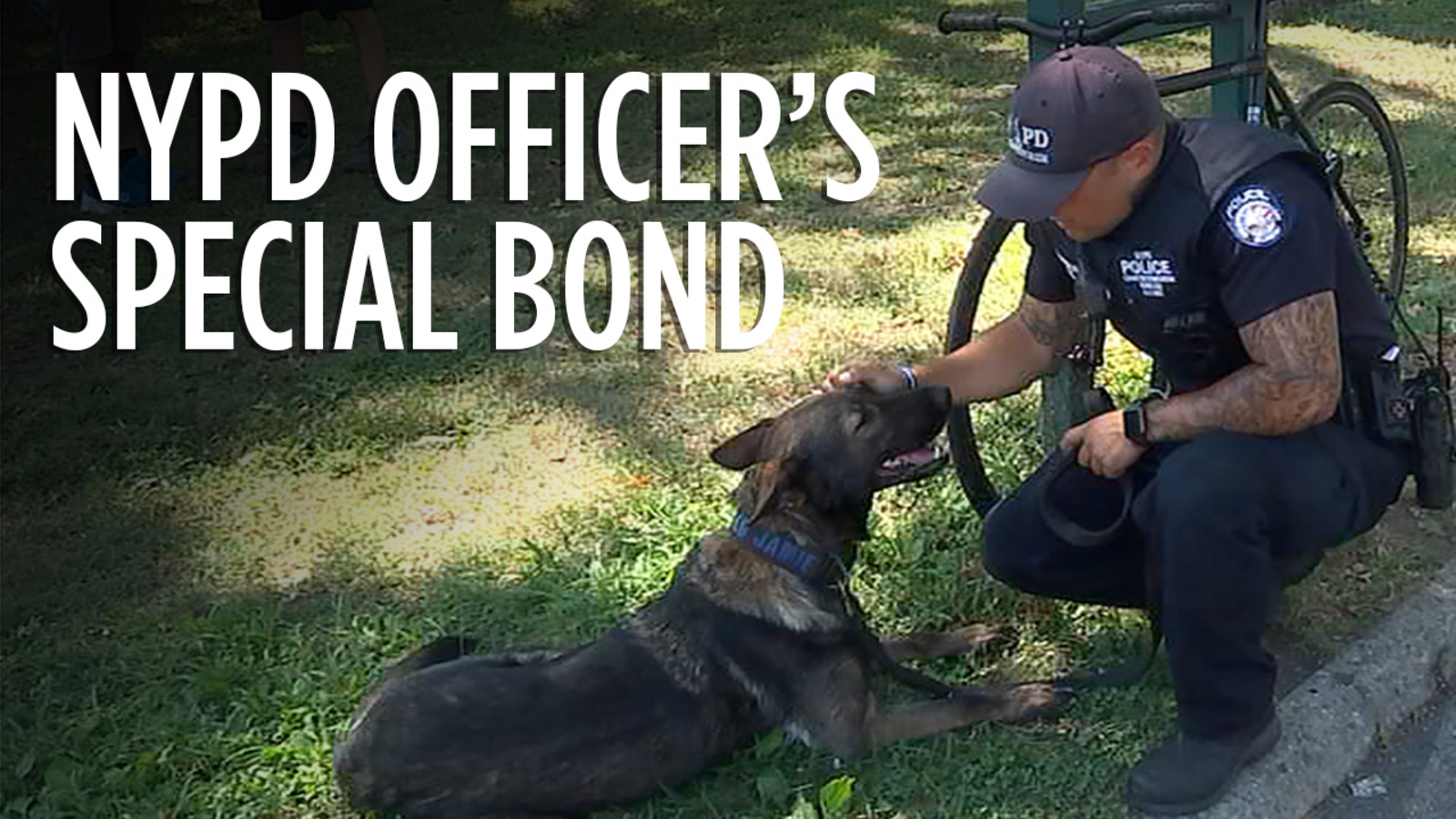 NYPD officer's K9 partner named after uncle who died from 9/11-related ...