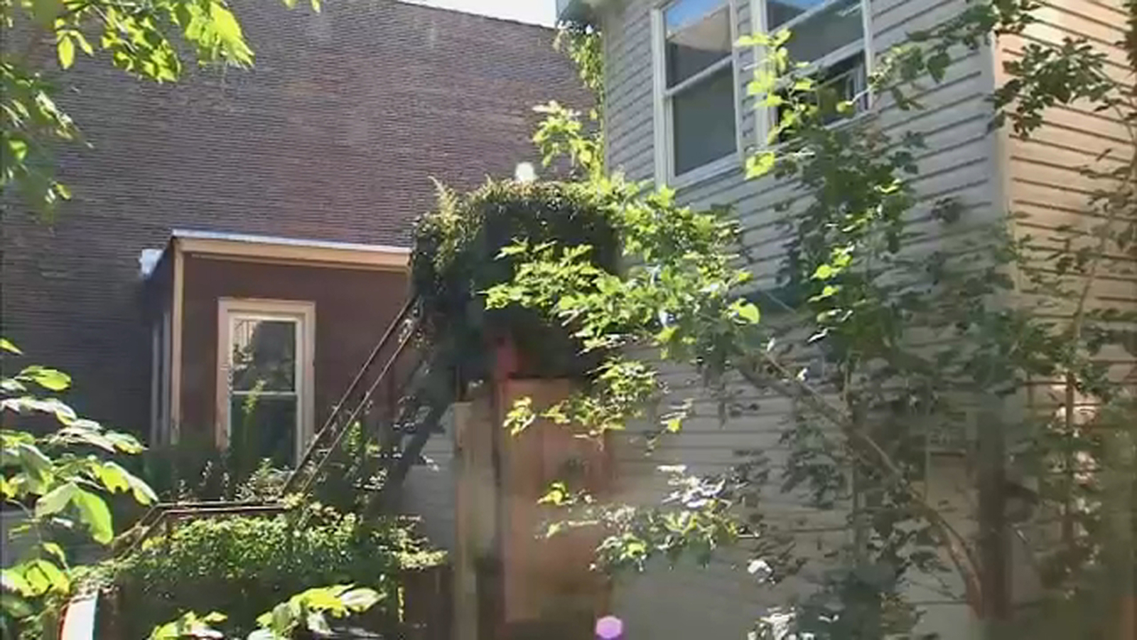 Woman arrested, 3 removed from home after deplorable conditions found ...