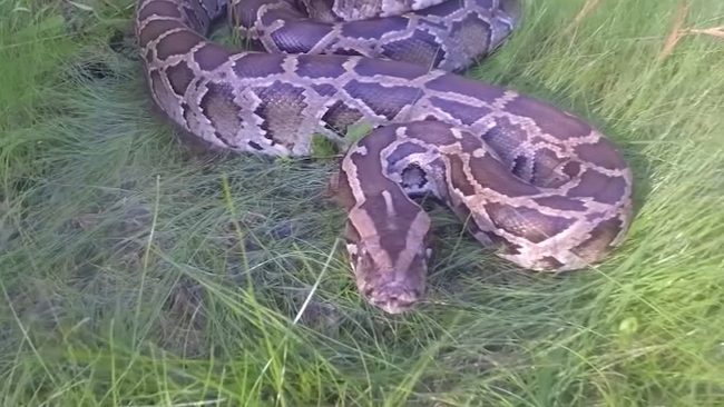 Breaking News | ABC7 KABC News Feed | abc7.com