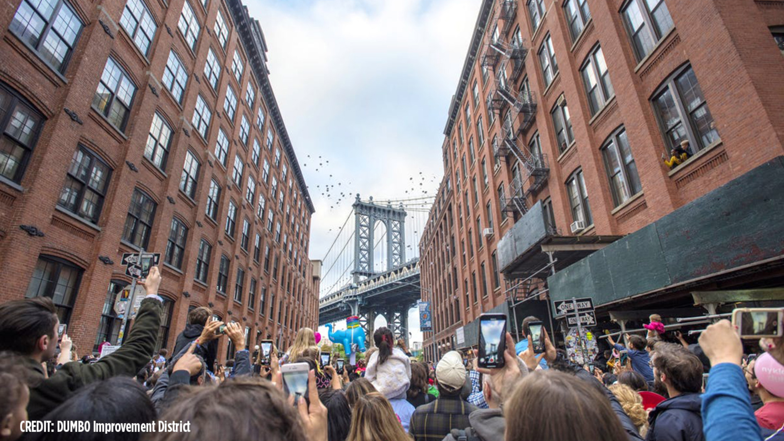 Thousands of elephants to 'fly' in DUMBO, Brooklyn next week - ABC7 New ...