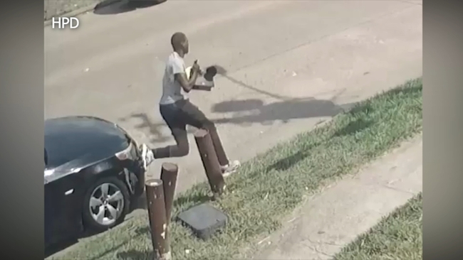 Purse snatching | abc13.com