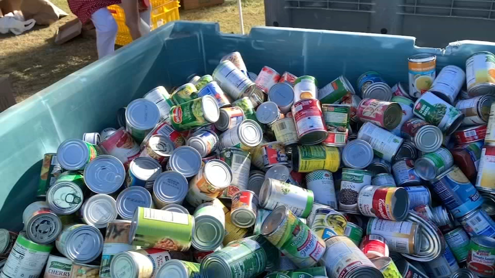 Hundreds show up to donate for the 5th Annual Feed the Need Food Drive ...