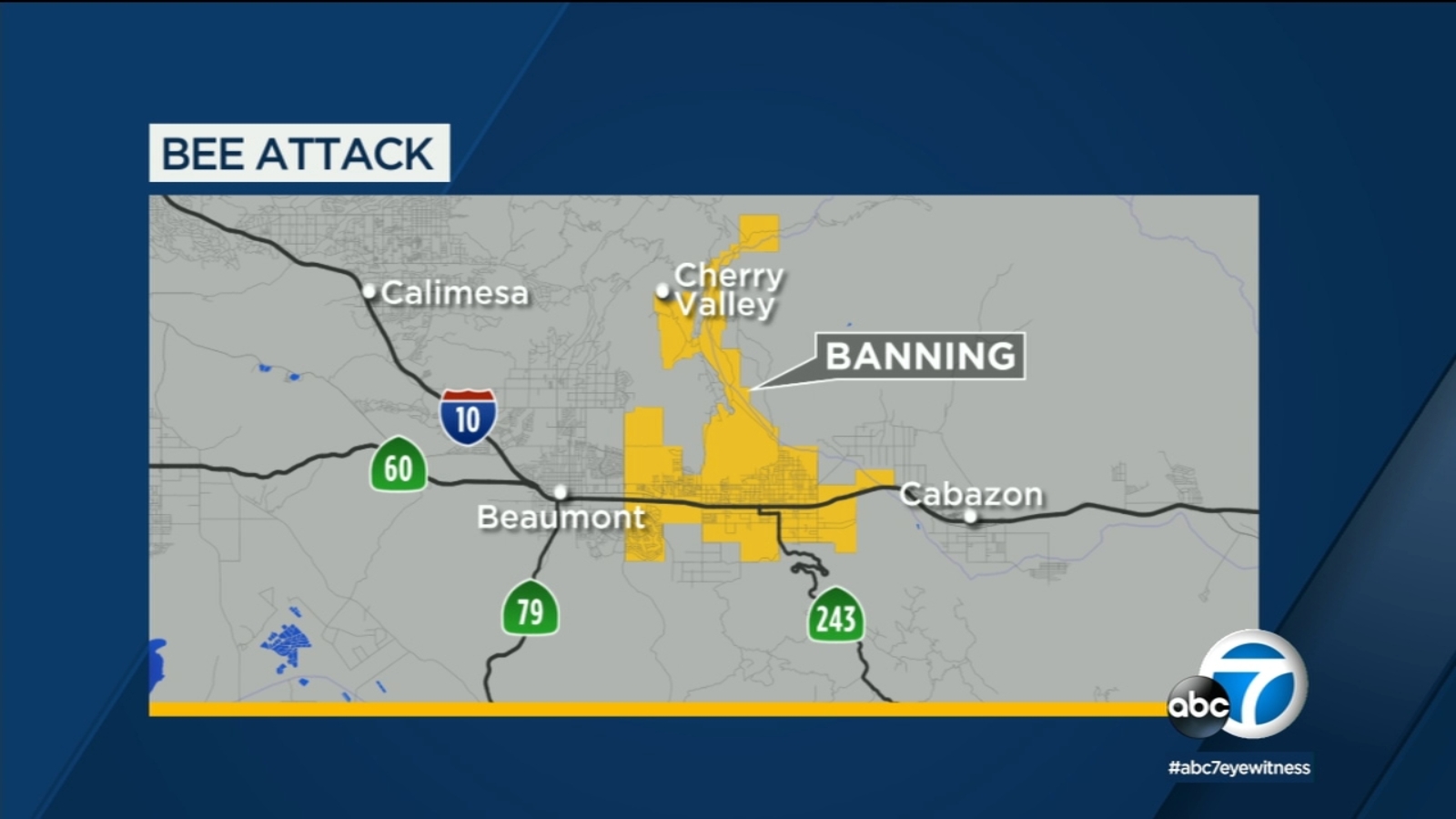 Person hospitalized with more than 100 stings after bee attack in ...