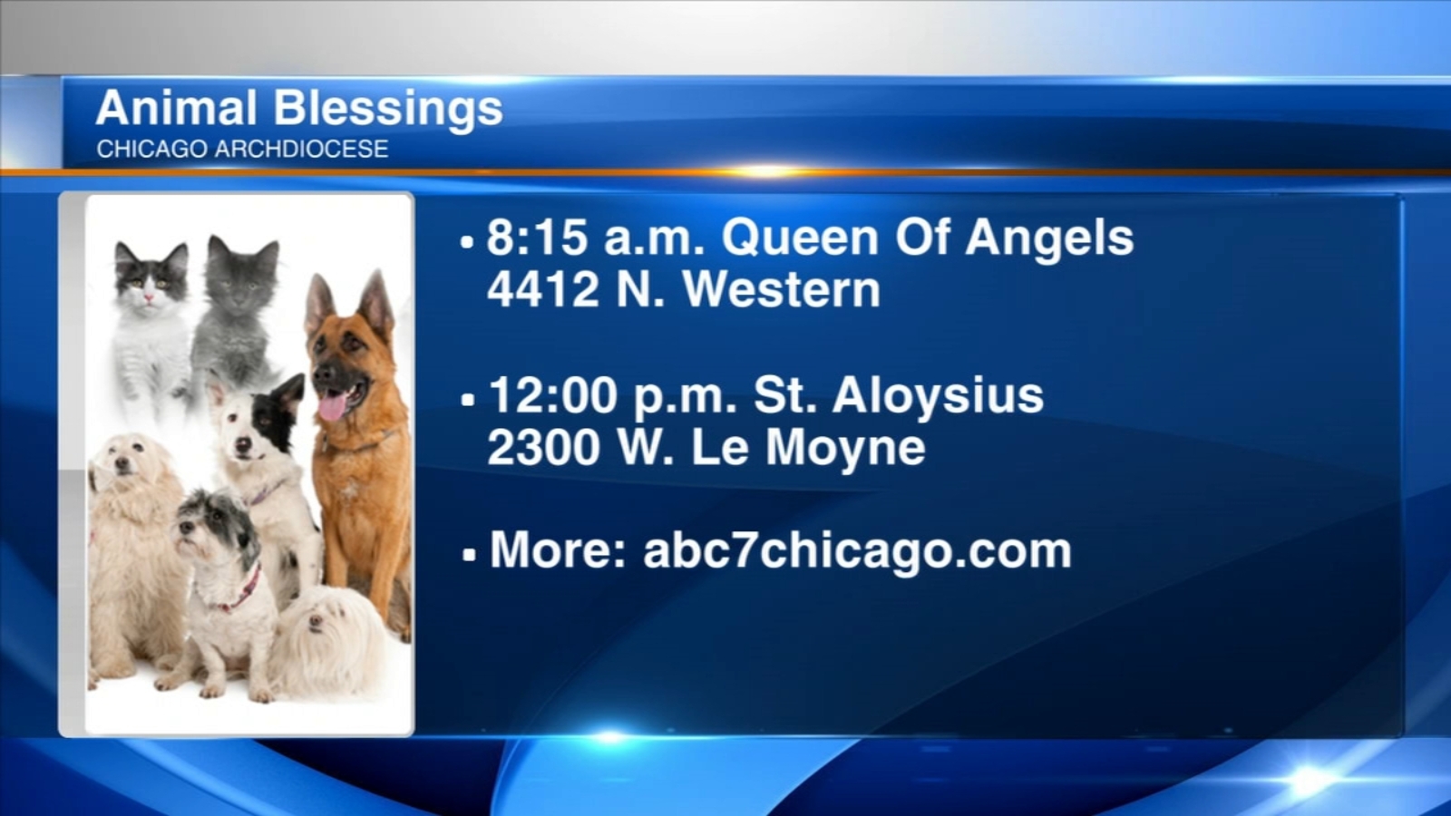Chicago area Catholic churches holding pet blessings for St. Francis of ...
