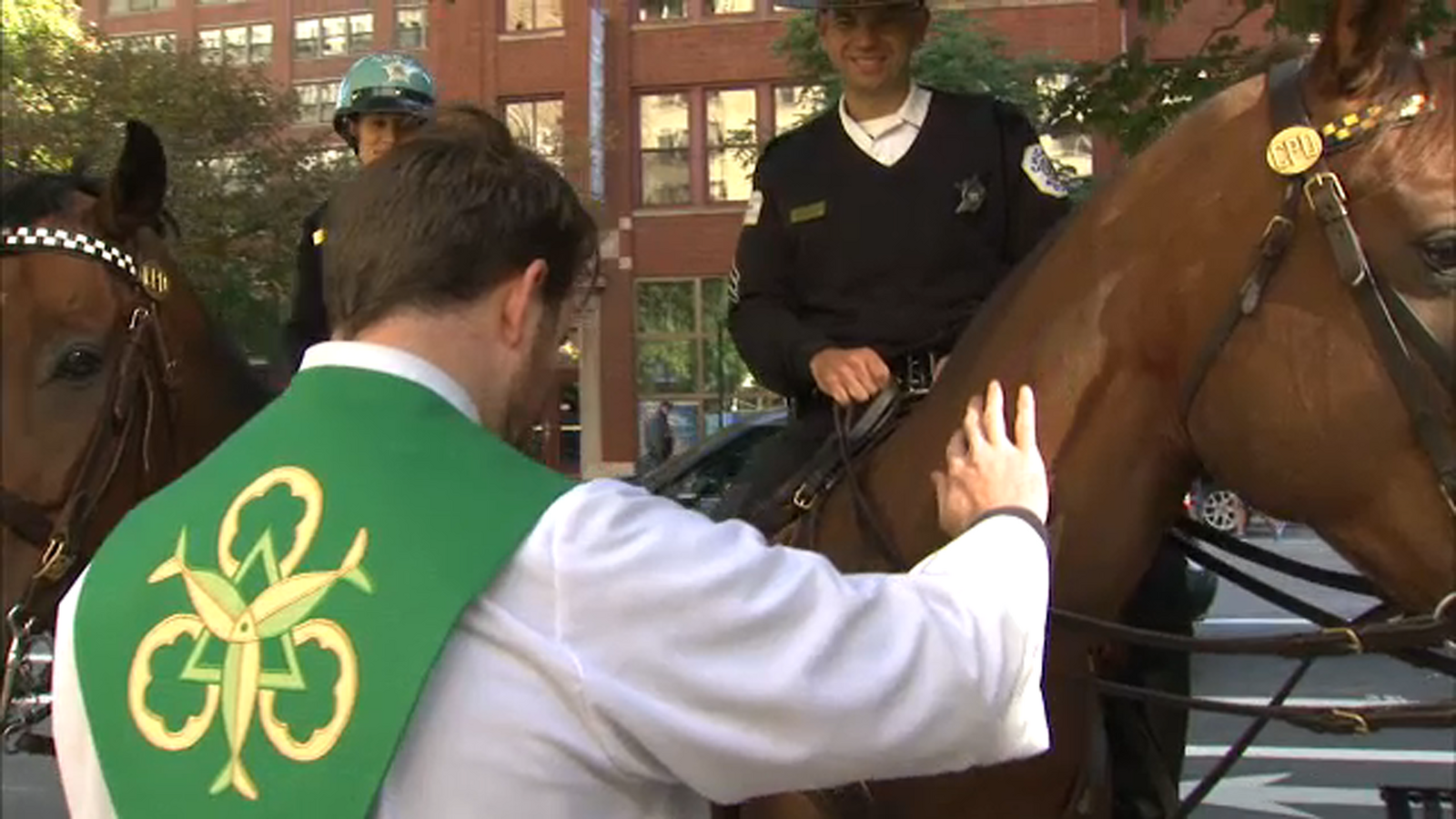 Dozens of Chicago pets participate in annual 'Blessing of the Animals ...