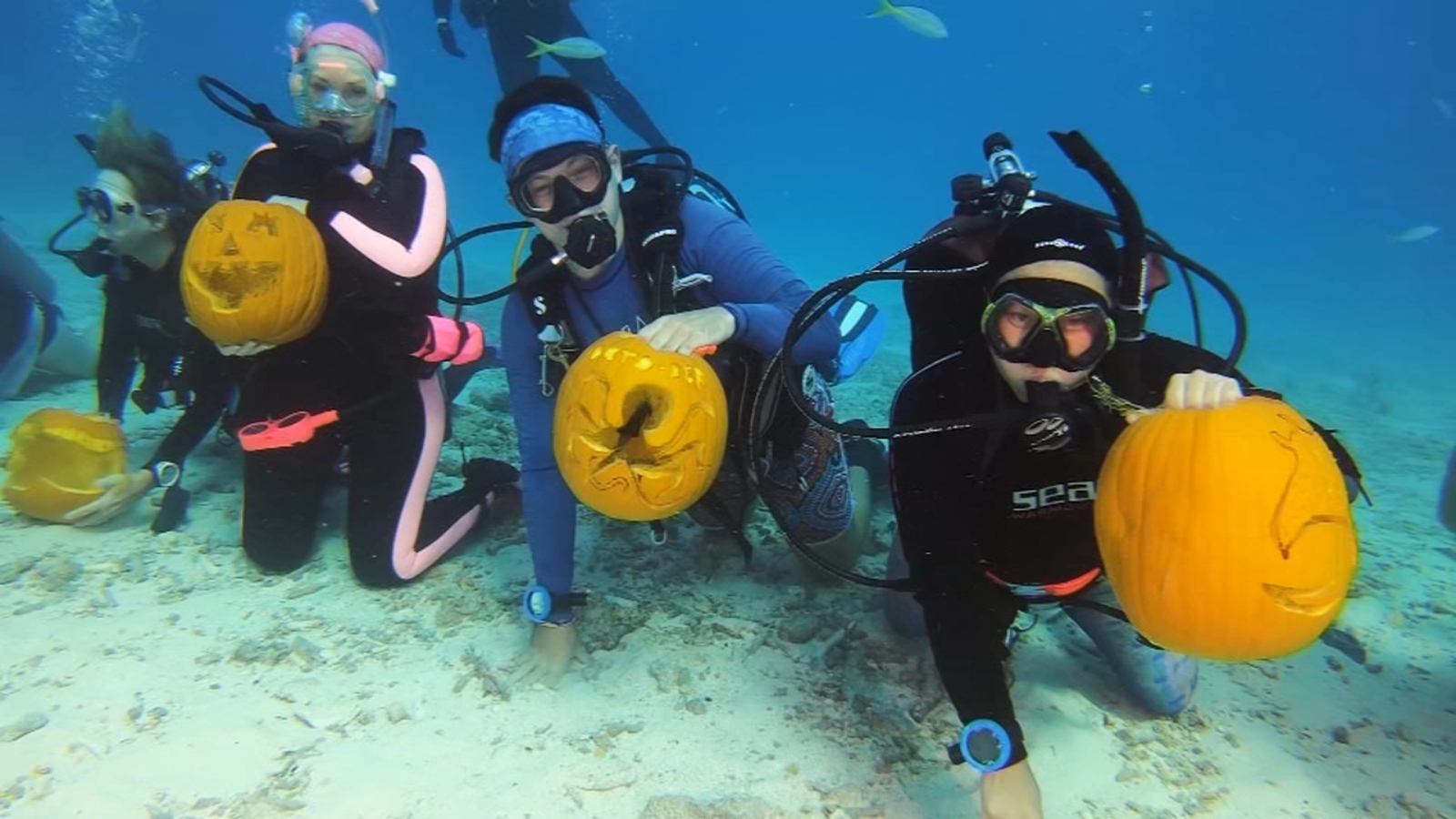 Scuba divers compete in underwater pumpkin carving contest - 6abc ...