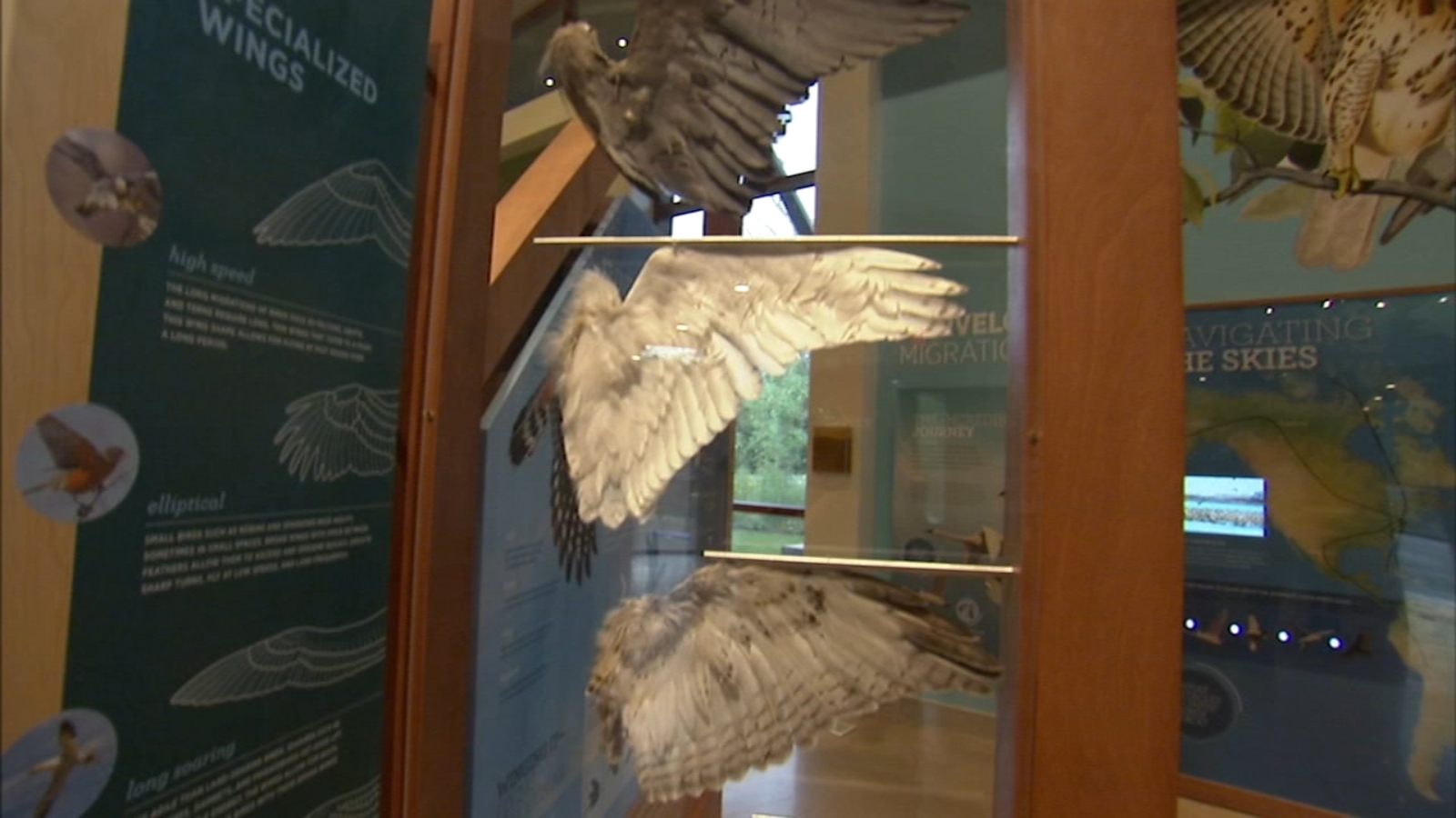 John James Audubon Center puts birds and other native wildlife on ...