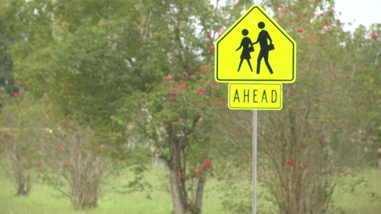 Rice School student robbed at bus stop in southeast Houston - ABC13 Houston
