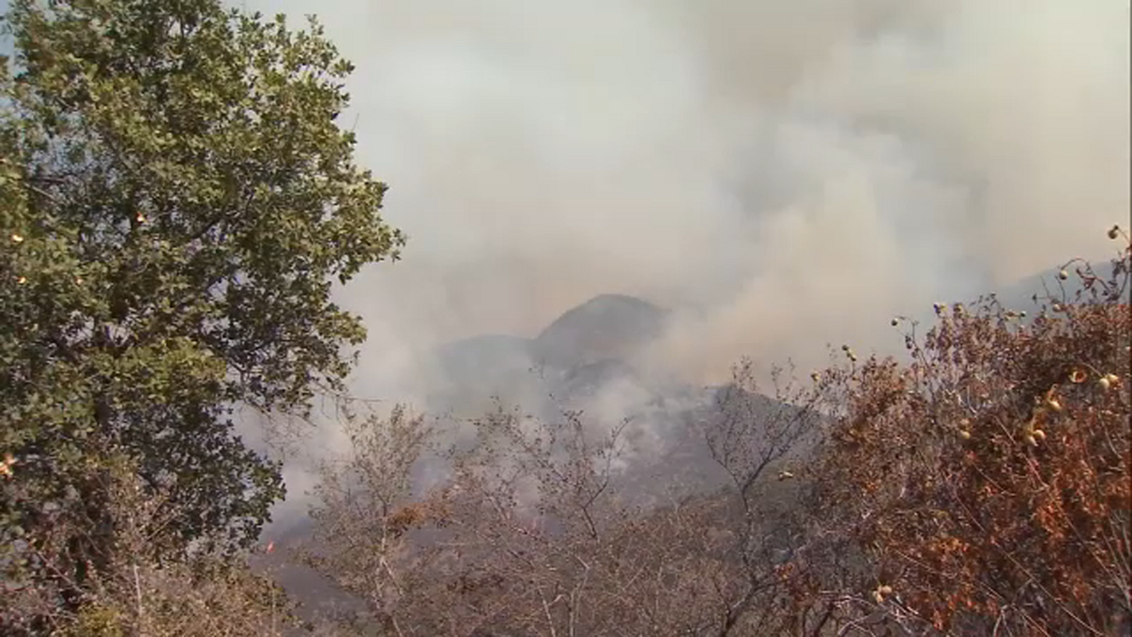 Briceburg Fire smoke prompts air quality health caution for the Central ...