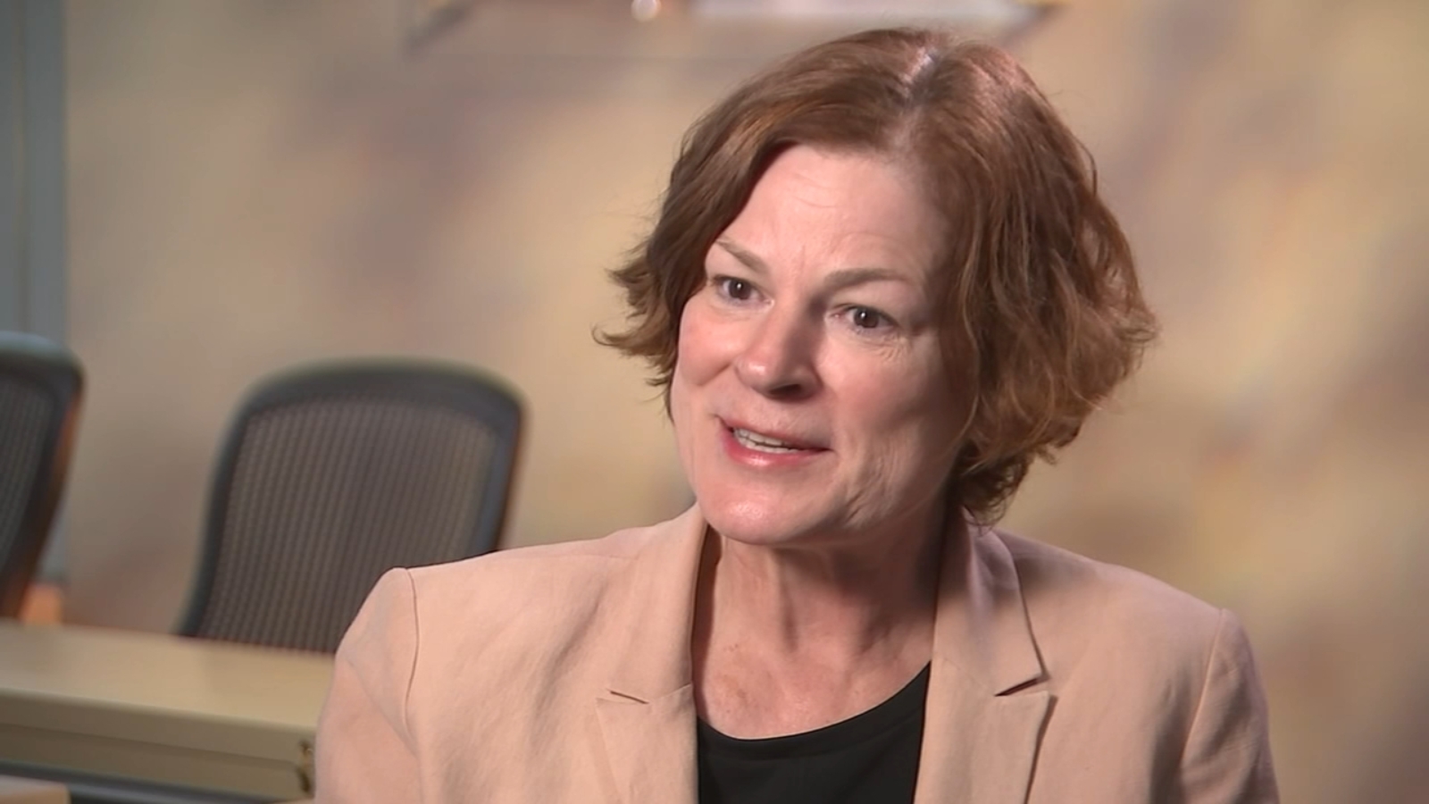 'I'm really excited': Raleigh's new mayor-elect Mary-Ann Baldwin leads ...