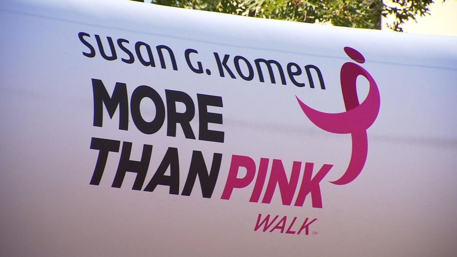 Breast cancer awareness walk is about 'more than pink' for community ...