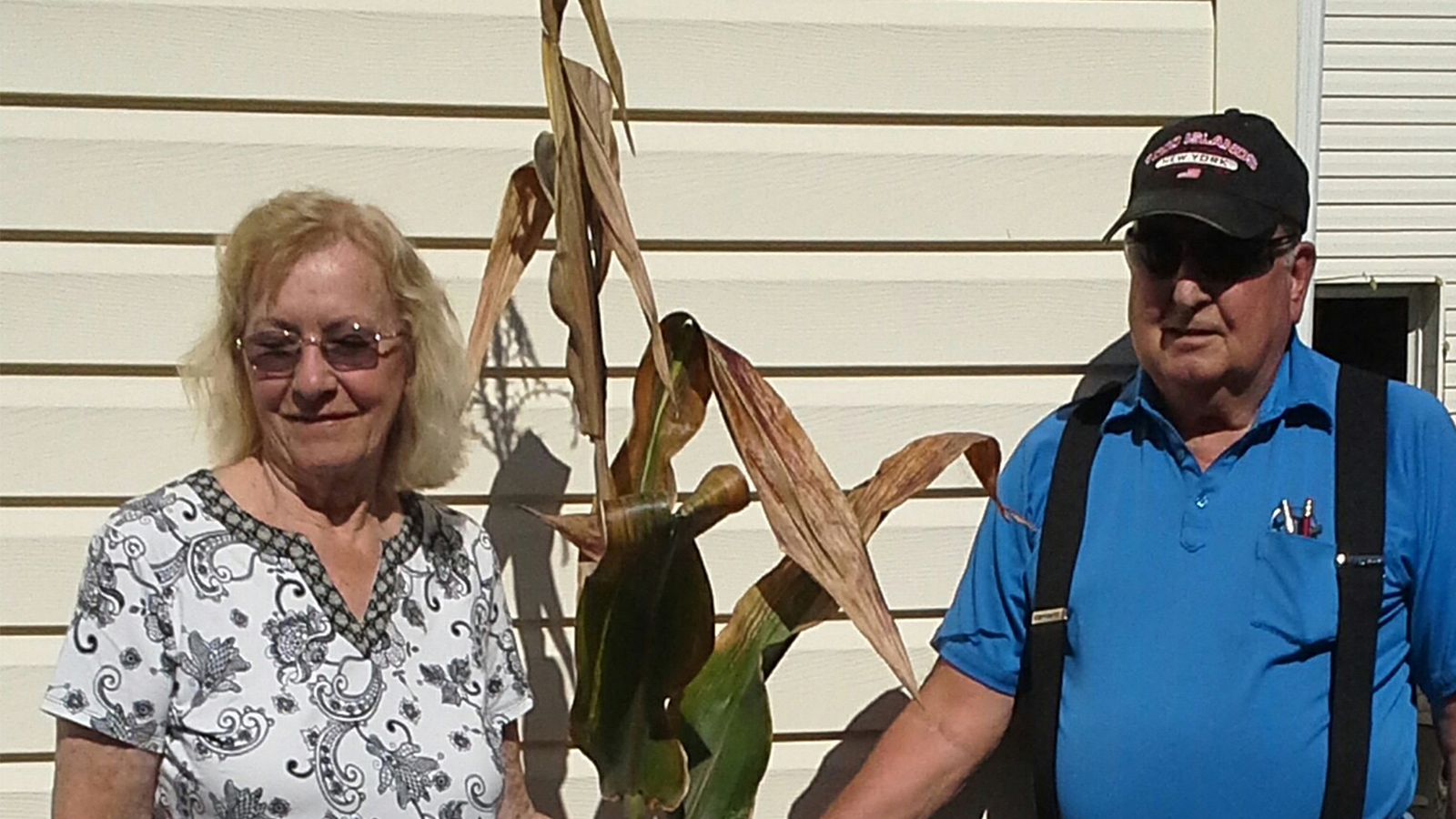 New Jersey man grows massive, world record cornstalk thanks to a ...